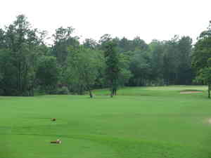 High Meadow Ranch Golf Club | Texas Outside