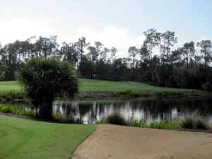 Tiburon Golf Club - Black Course | Texas Outside