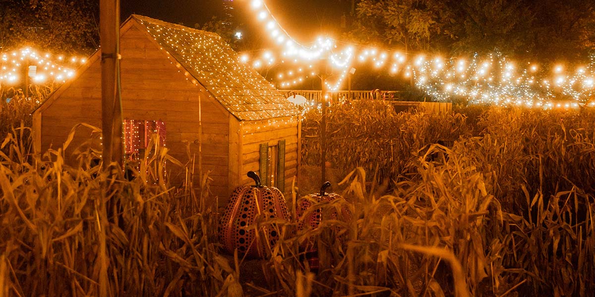 Fall Corn Mazes | Texas Outside