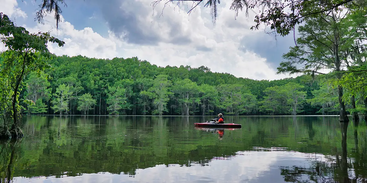 The Mysterious Caddo Lake | Texas Outside