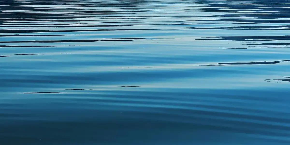 A Tranquil Escape: Discovering Tucker Lake | Texas Outside